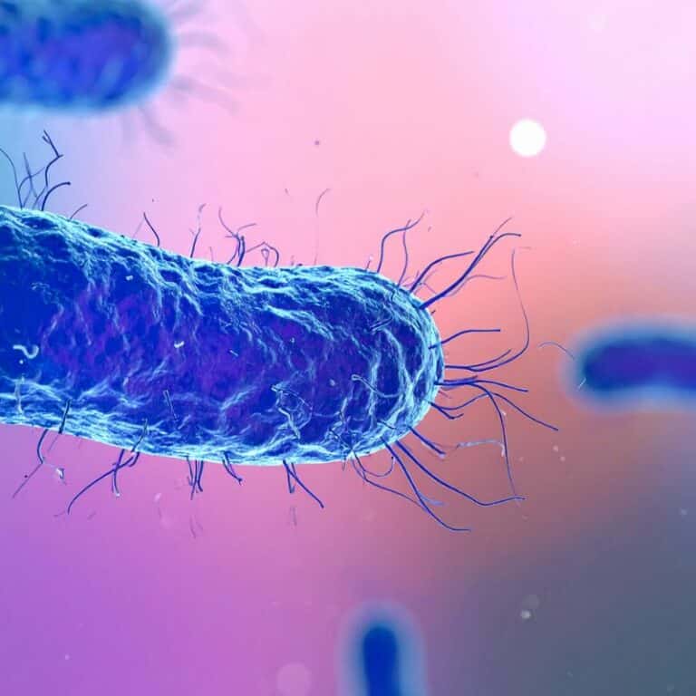 10 infecciones gastrointestinales comunes